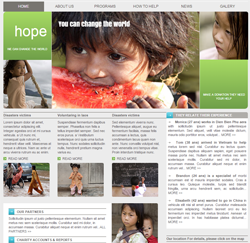 free flash templates